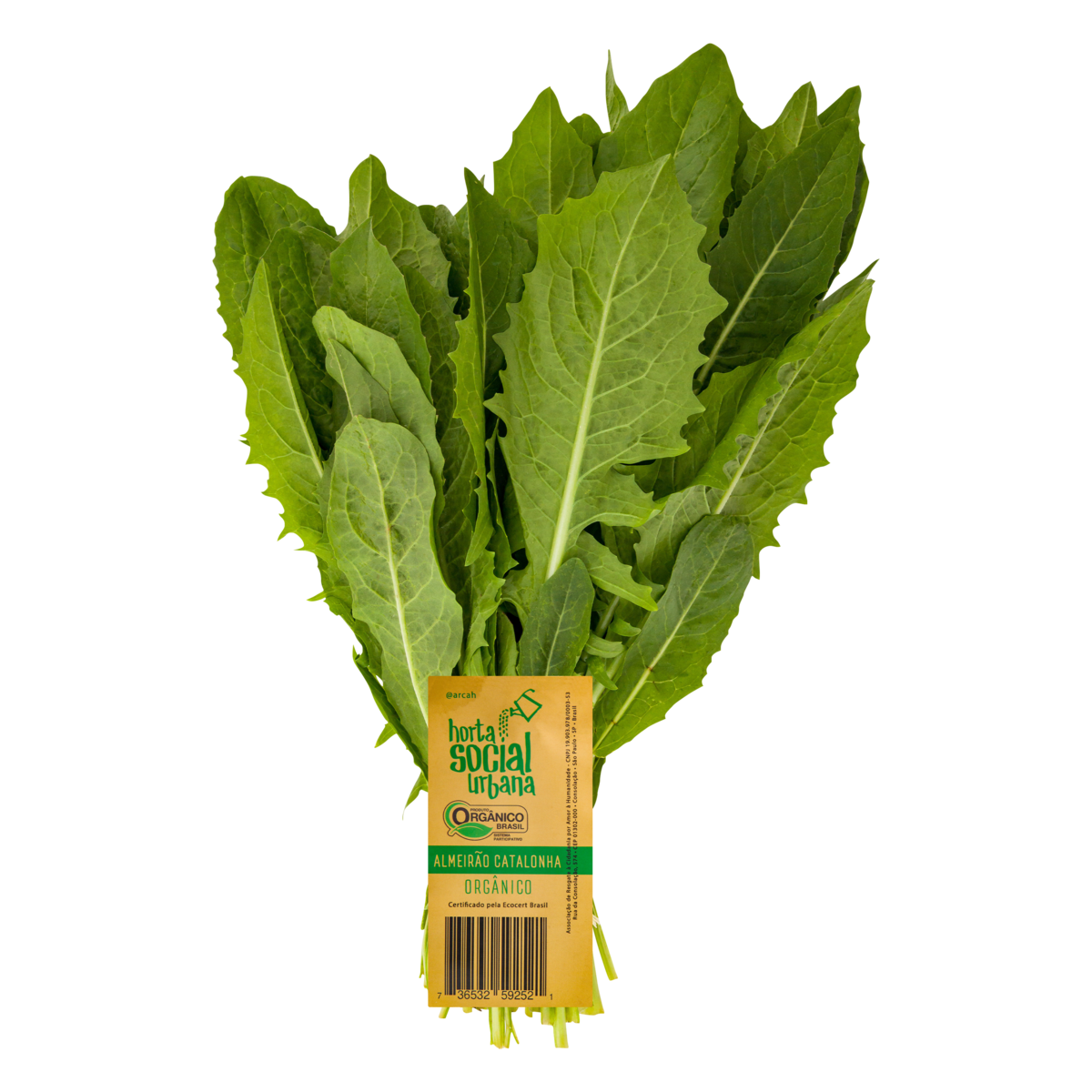 Almeirão e Catalonha Orgânica Horta Social Urbana | Pão de Açúcar