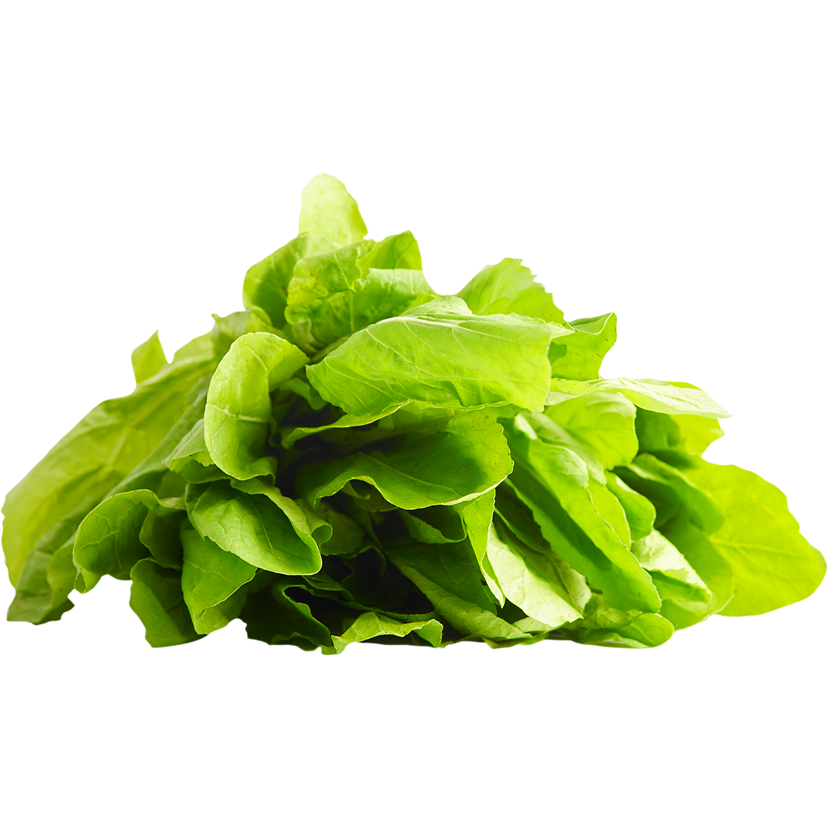 Alface Lisa Unidade | Pão de Açúcar